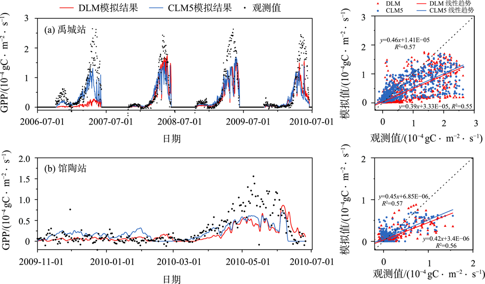 Comparative study of DLM and CLM5 model simulations at winter wheat ...